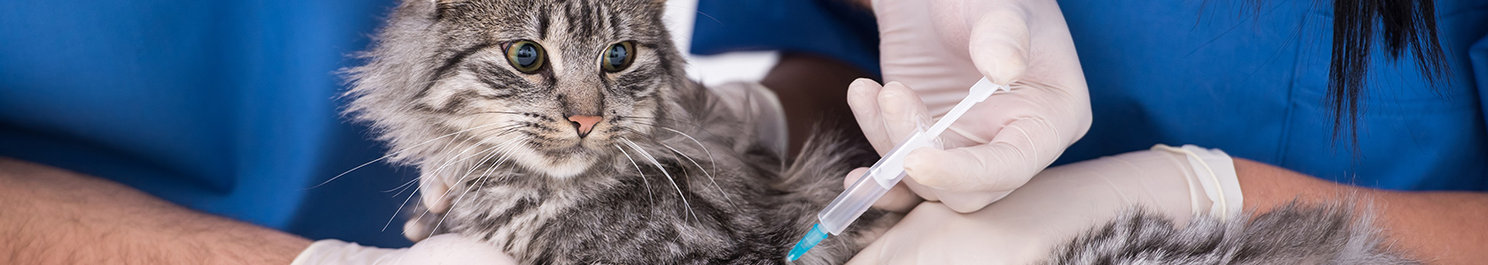 FELIGEN® C.R.P./R. - VACUNA TRIPLE FELINA CON RABIA